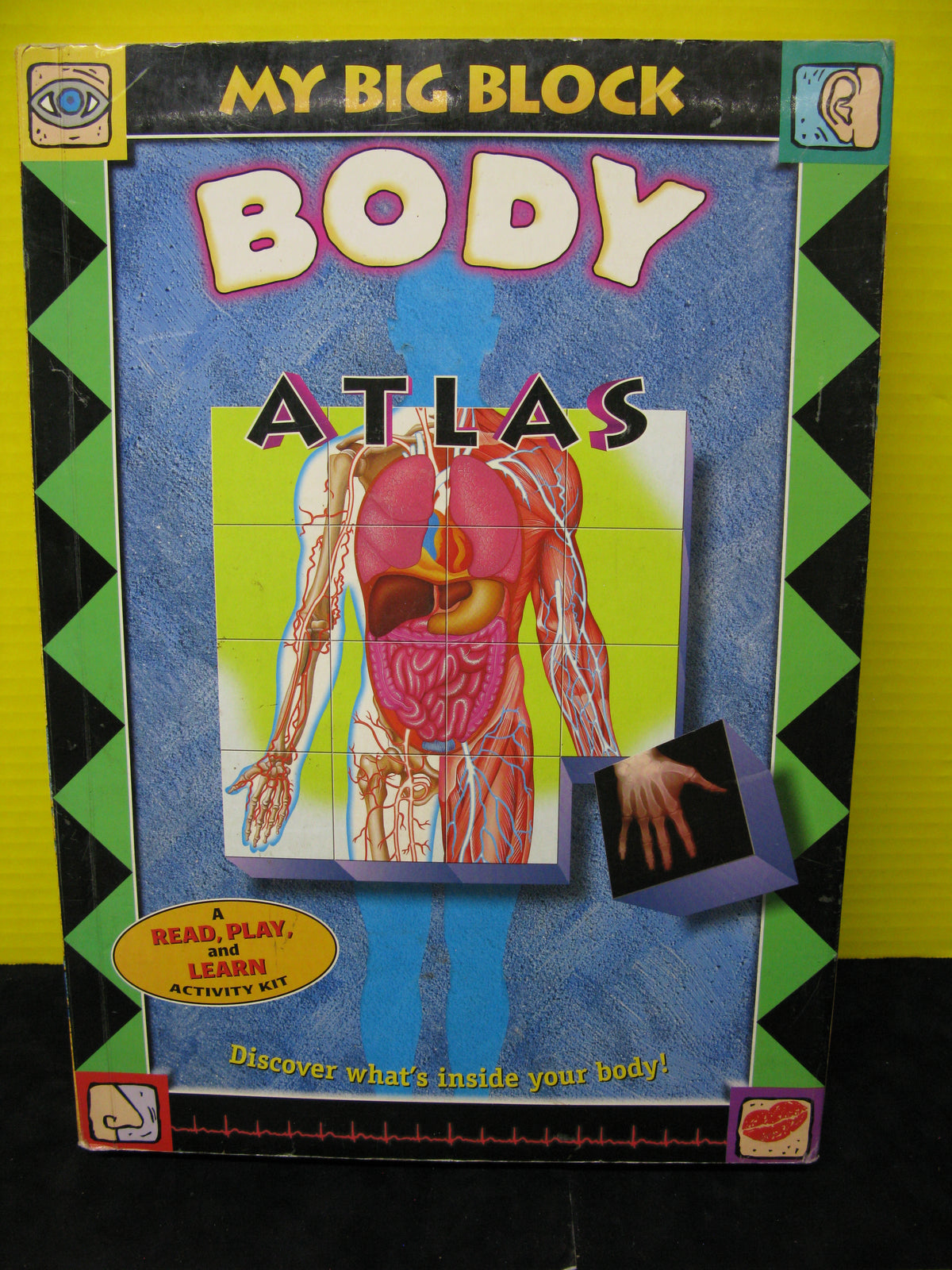 My Big Block Body Atlas Activity Kit — The Pop Culture Antique Museum
