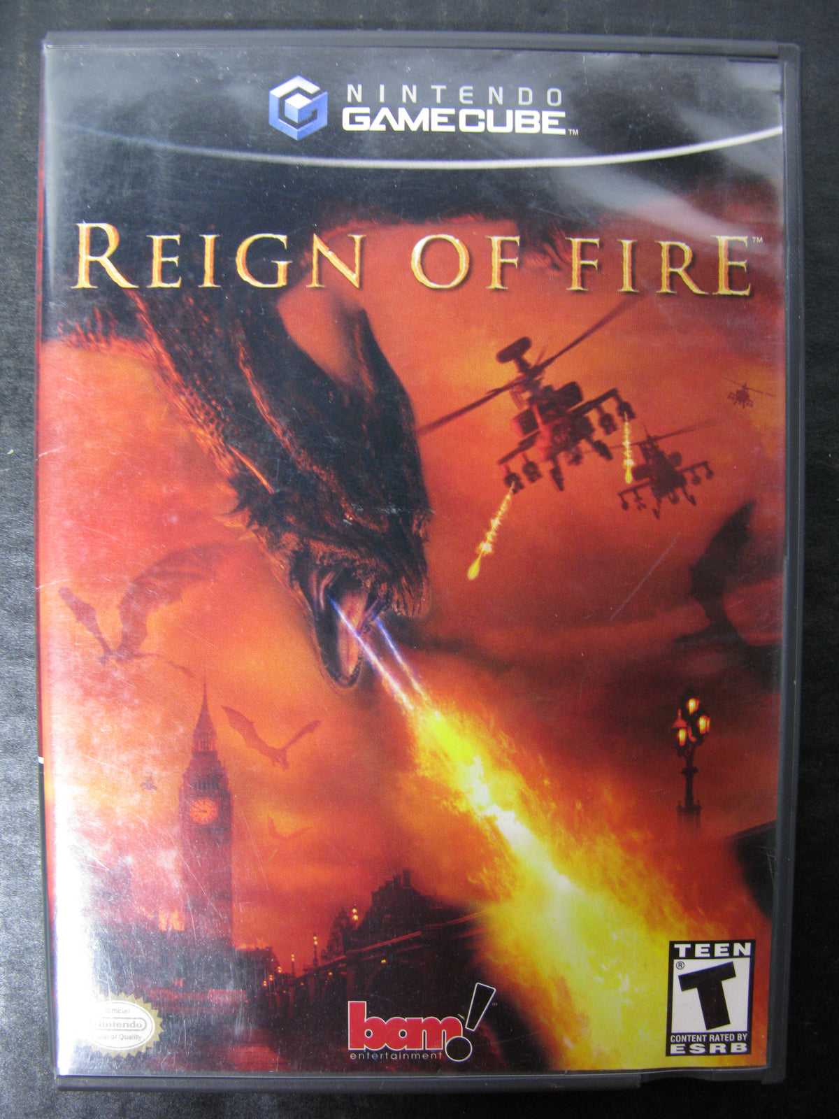 Nintendo GameCube Reign of Fire — The Pop Culture Antique Museum
